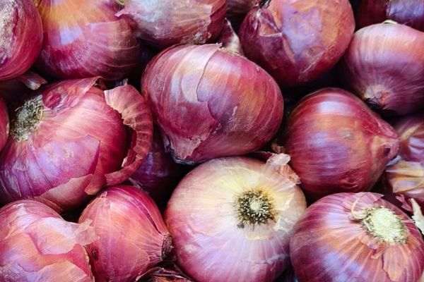 The Hoping Sun Exim, Best Basmati & Miniket Rice Export in Global, Key ...